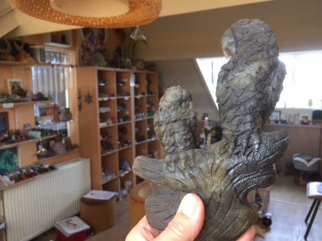 Labradoriet Papegaaien Tweeling / Maori Natuur Spirit 'Kea' van ...